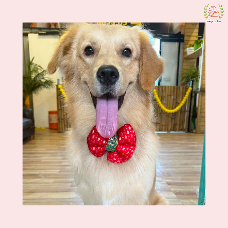 Wedding – Wrapinfur