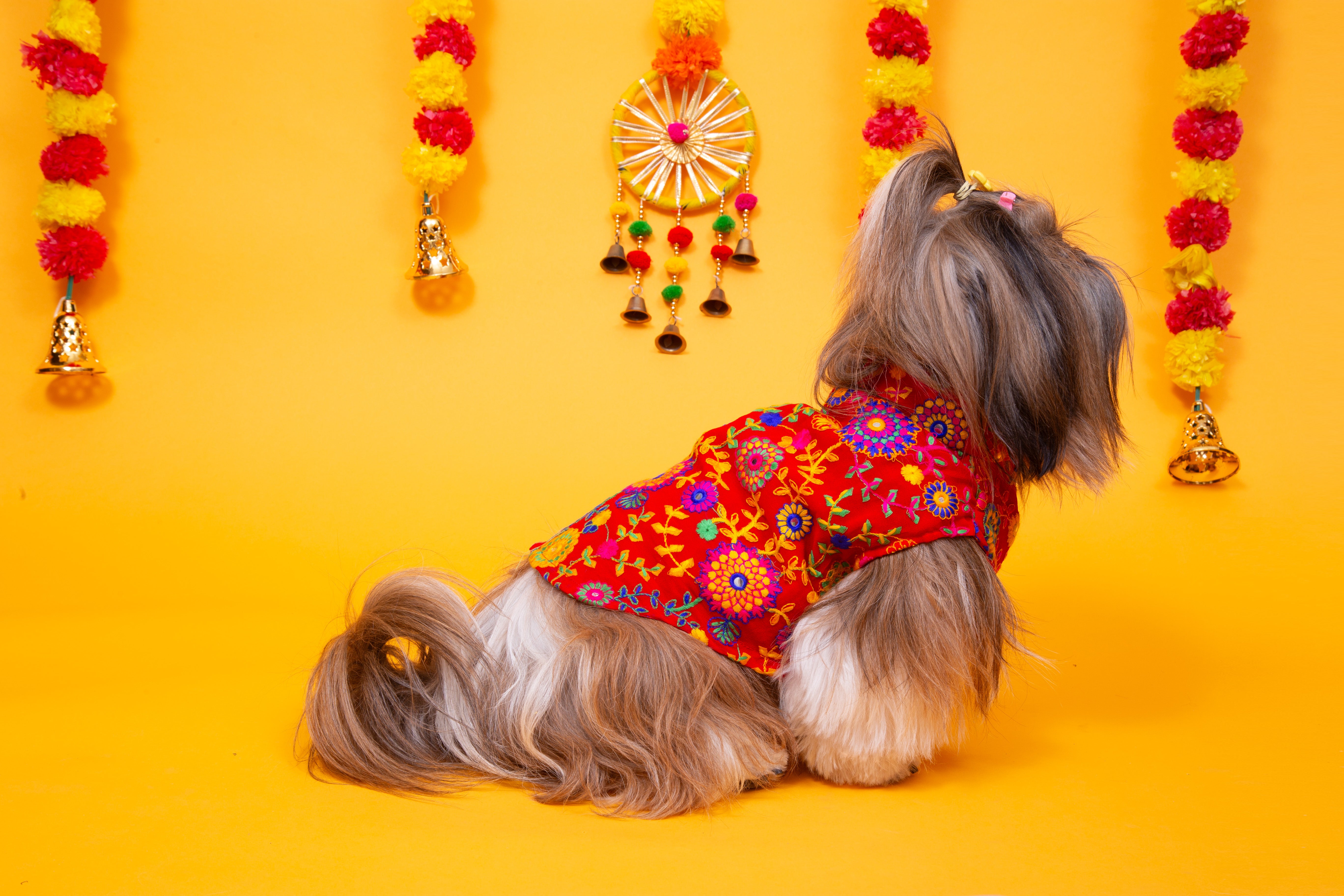 Red Phoolwari Dog Sherwani | Royal Floral Dog Wedding Outfit – Wrapinfur